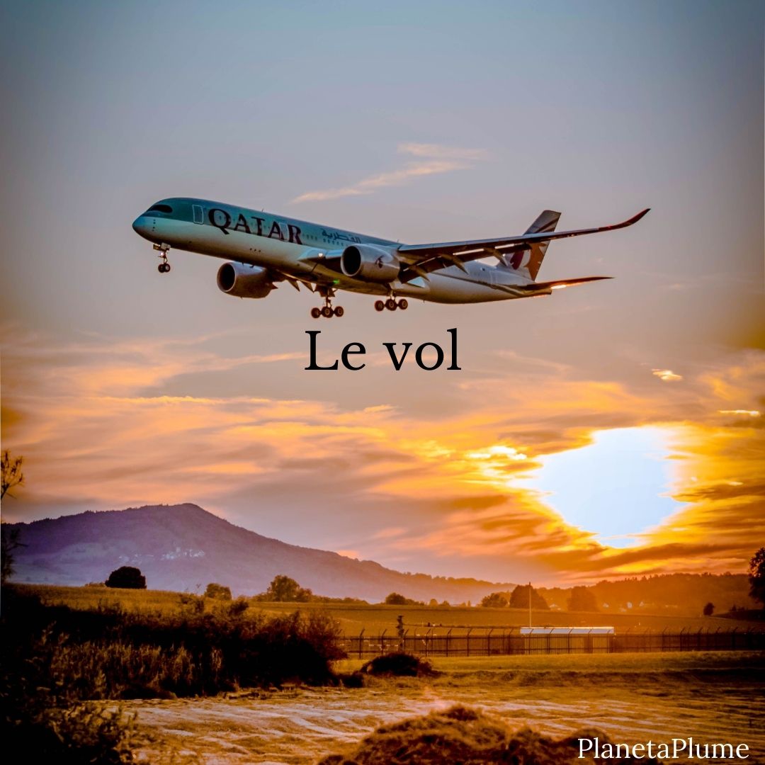 Le vol | LeConteur.fr